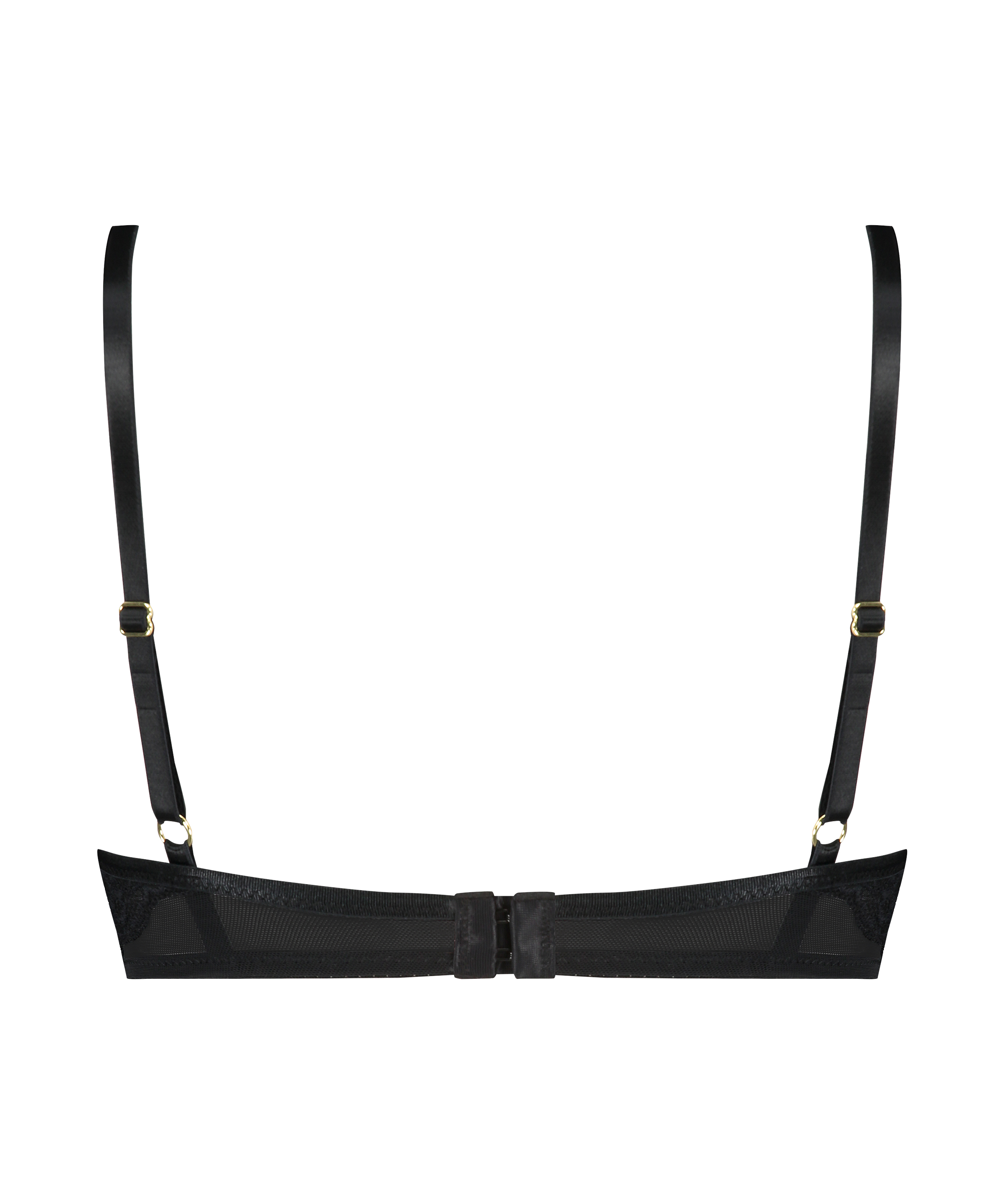 Sierra padded underwired bra - Padded bras - Hunkemöller