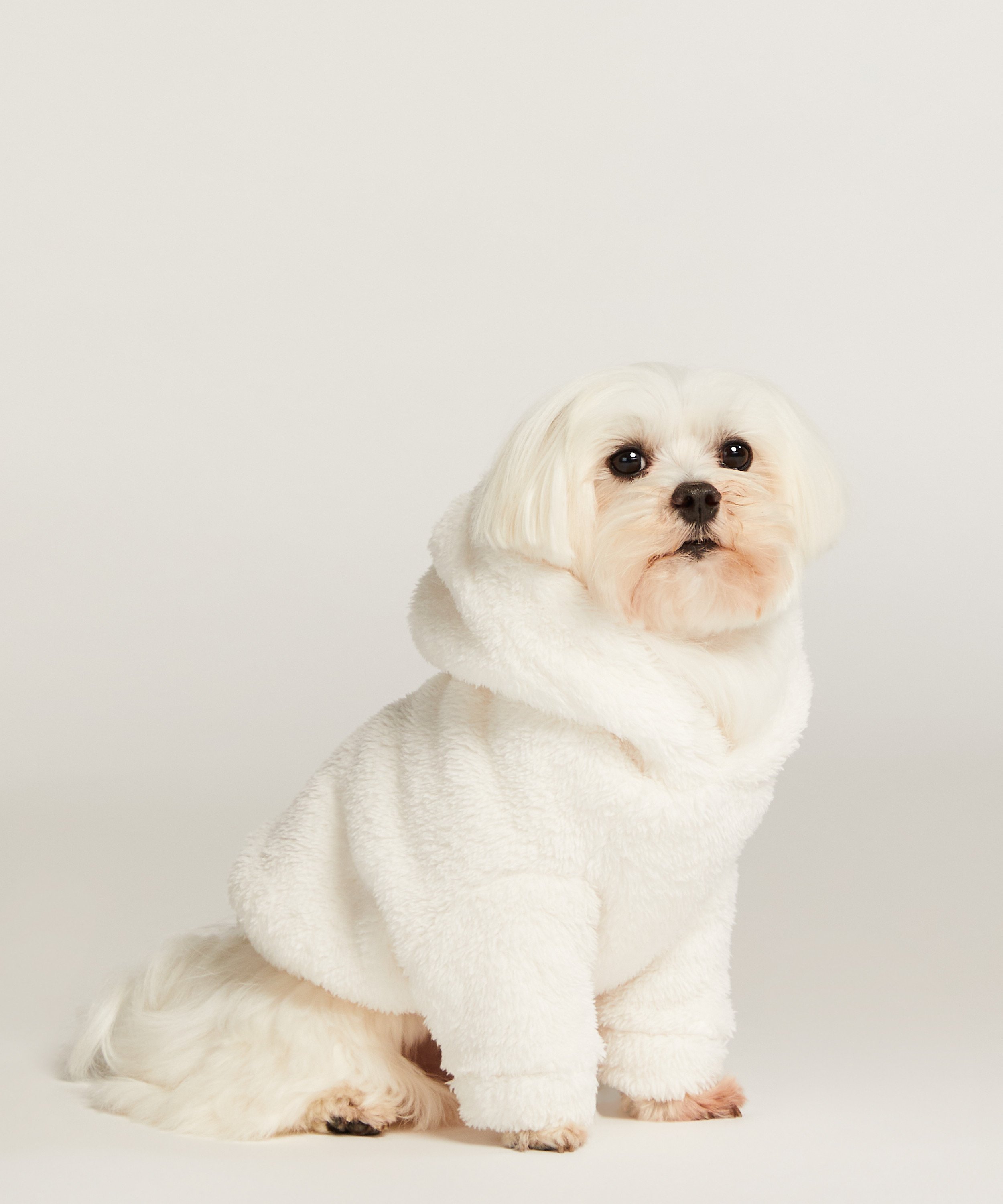 Dog Onesie - Onesies - Hunkemöller
